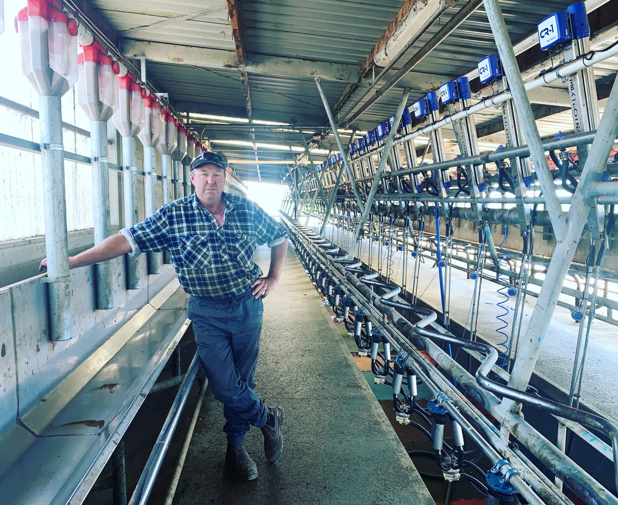 DairyTech South | Dairy Shed Repair & Maintenance