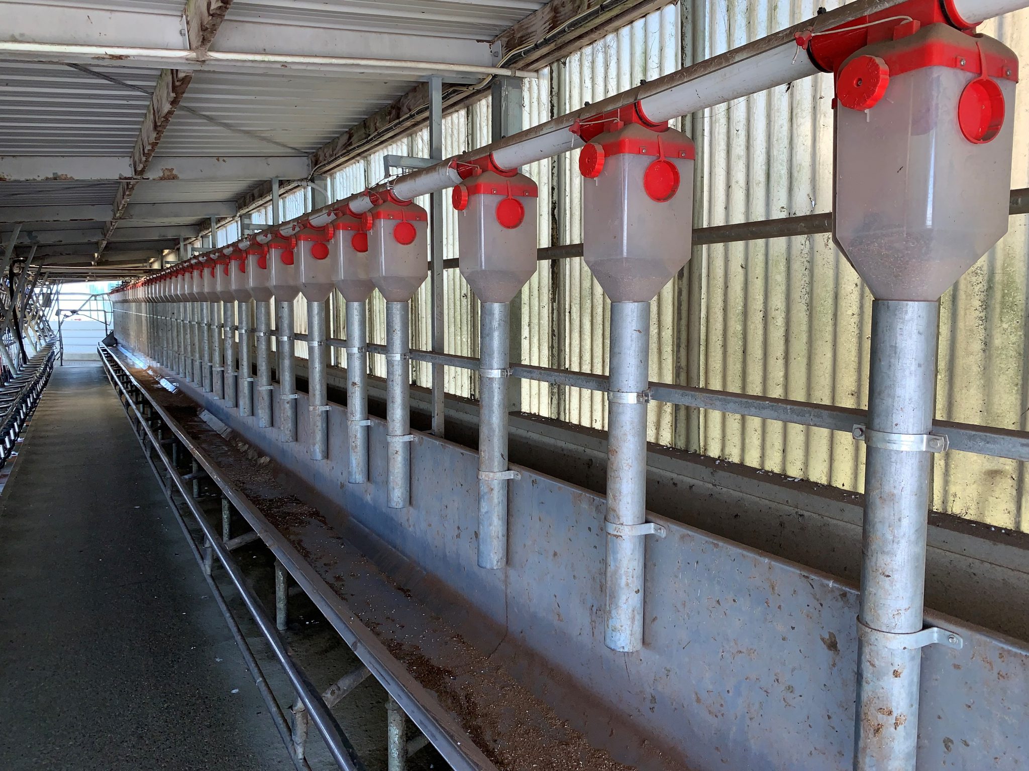 Feed Systems - DairyTech South | Dairy Shed Repair & Maintenance