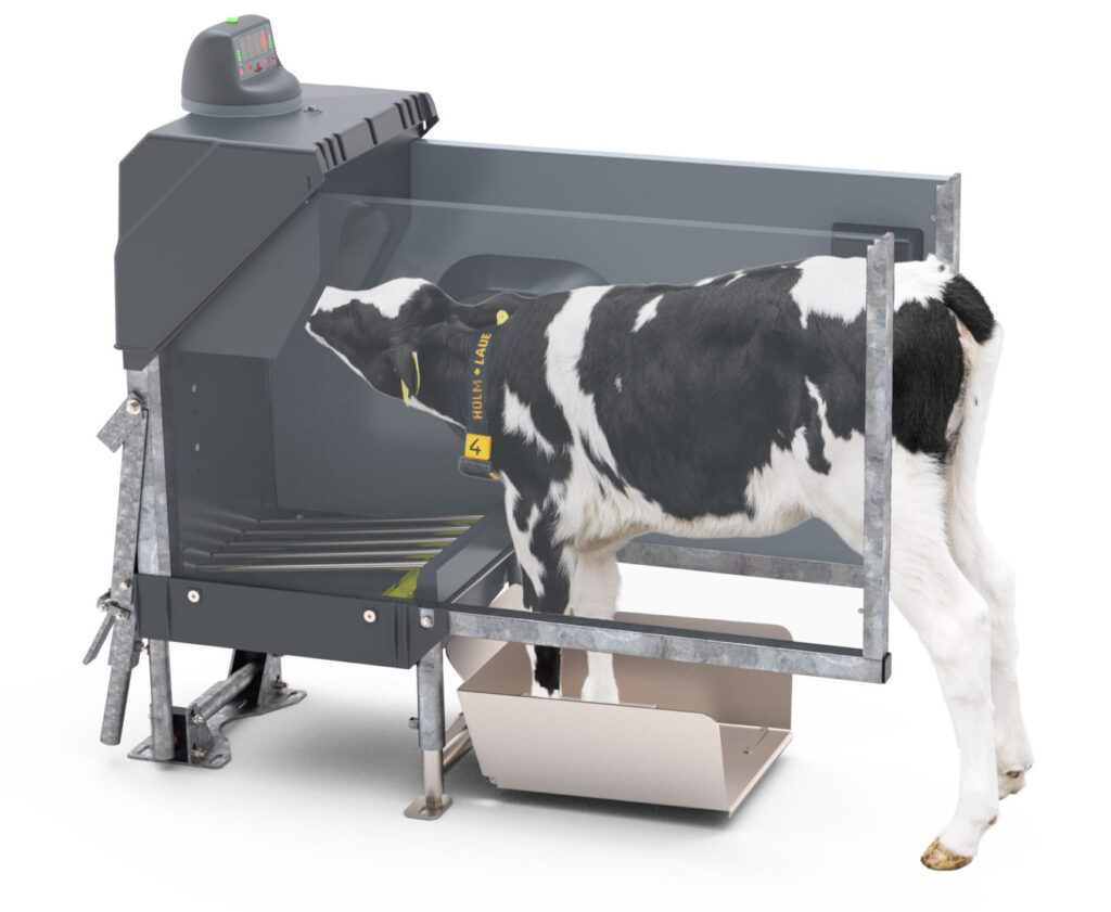Automatic Calf Feeders - DairyTech South | Dairy Shed Repair & Maintenance