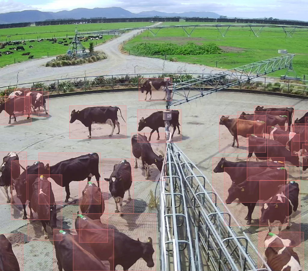 AI TECHNOLOGY - DairyTech South | Dairy Shed Repair & Maintenance